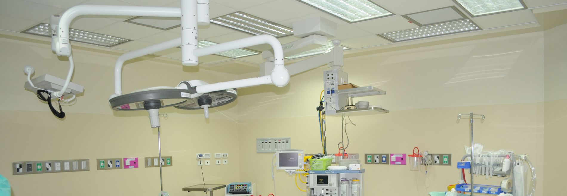 PVC Hygienic Cladding & Polycarbonate for Medical Facilities | Palram ...